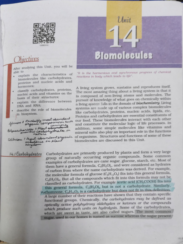 Biomolecules Marked NCERT | PDF