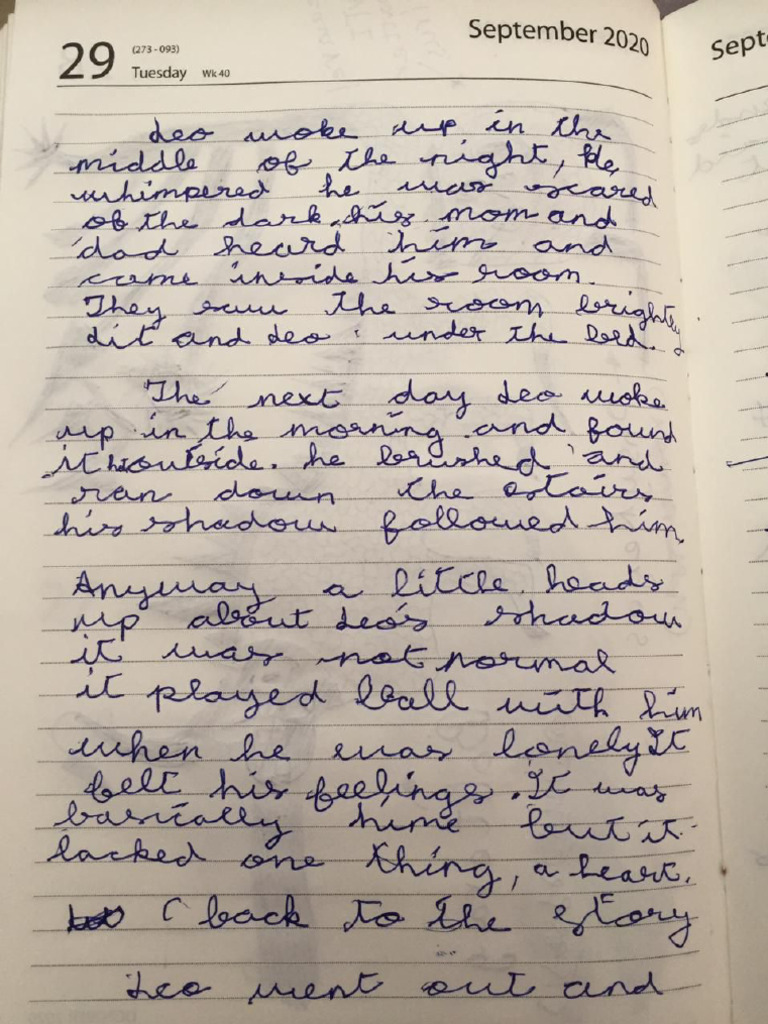 Shadow Handwritten | PDF