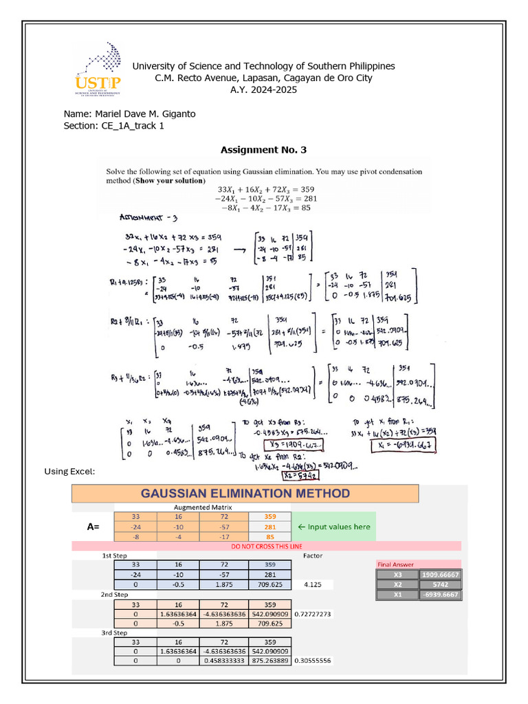 Excel Assignment for CE_1A Track 1 | PDF