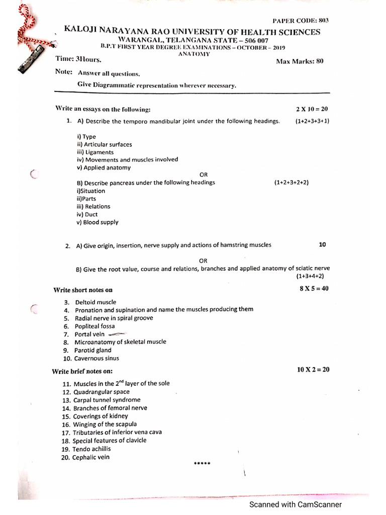 BPT KNR UNIV 1st Year ANATOMY QUESTION PAPERS | PDF