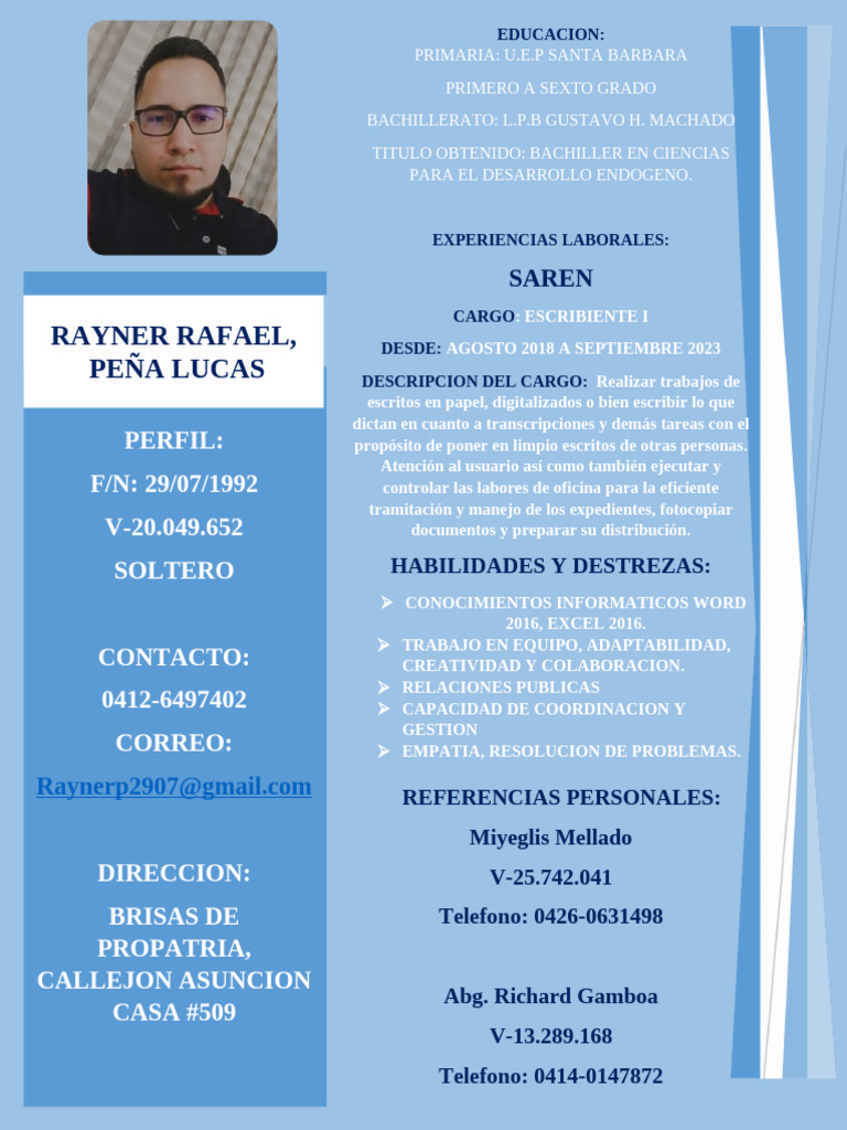 Curriculum de Rayner | PDF