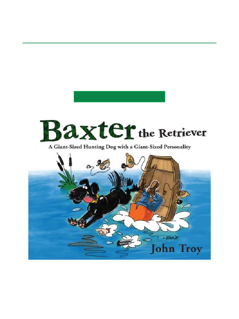Baxter the Retriever A Giant Sized Hunting Dog with a Giant Sized ...