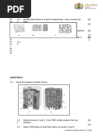 SHS STEM Bio1 Q1 Week 3 Module 5 - Cell Modification | PDF | Small ...