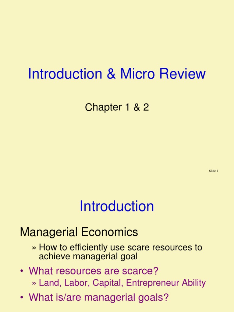 Introduction and Micro Review | PDF | Profit (Economics) | Supply And ...