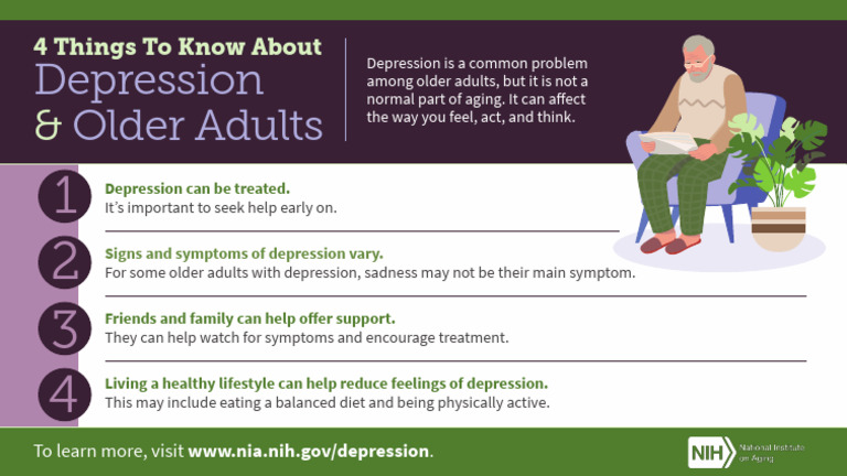 4 Things Depression Older Adults | PDF