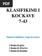 Indi Muskulor Dhe Nervor | PDF