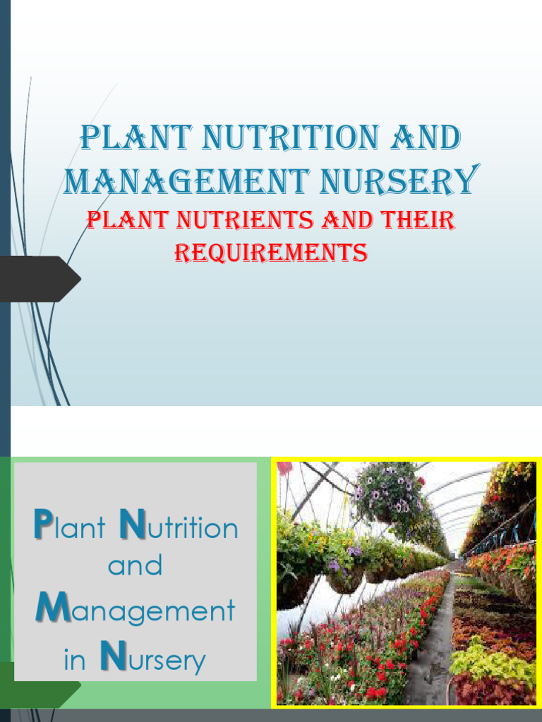 Essential Plant Nutrients Overview | PDF | Plant Nutrition | Nutrients