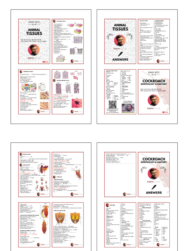 Zoolo | PDF | Epithelium | Connective Tissue