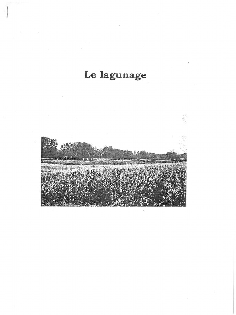 06 Lagunage | PDF