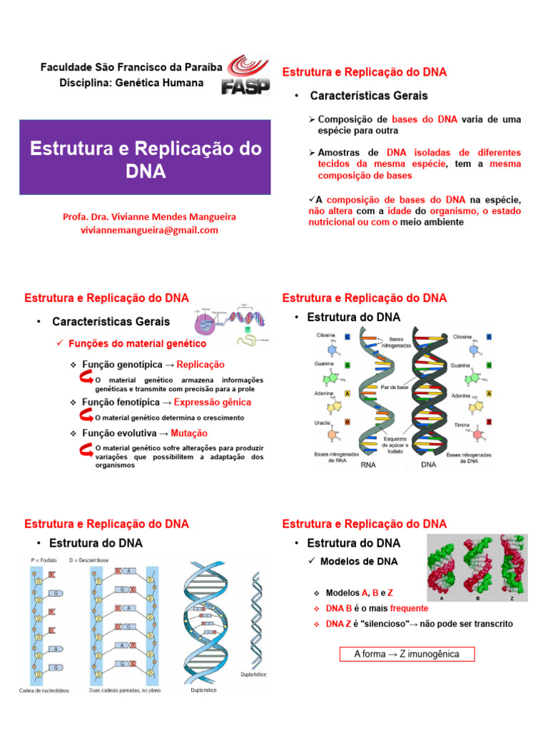 Estrutura e Replicação do DNA | PDF | DNA | Replicação de DNA