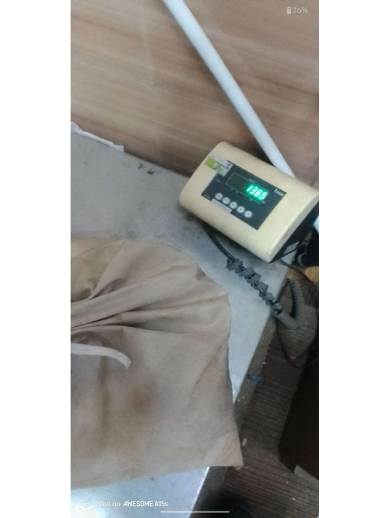 STP Sludge March | PDF