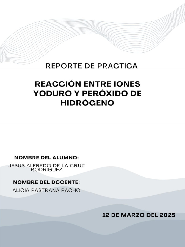 Reporte Simulador | PDF