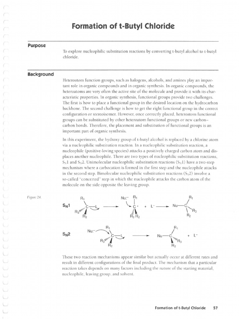 3-15 T-Butyl Chloride Lab | PDF
