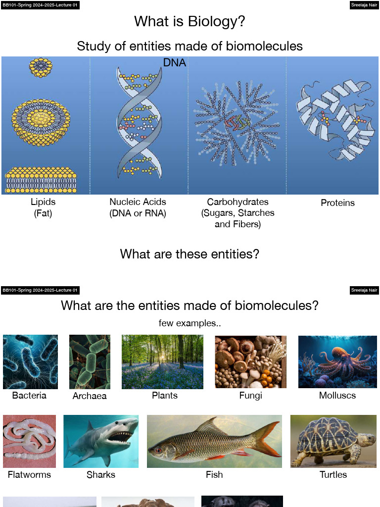Understanding Biomolecules in Biology | PDF | Cell (Biology) | Biomolecules