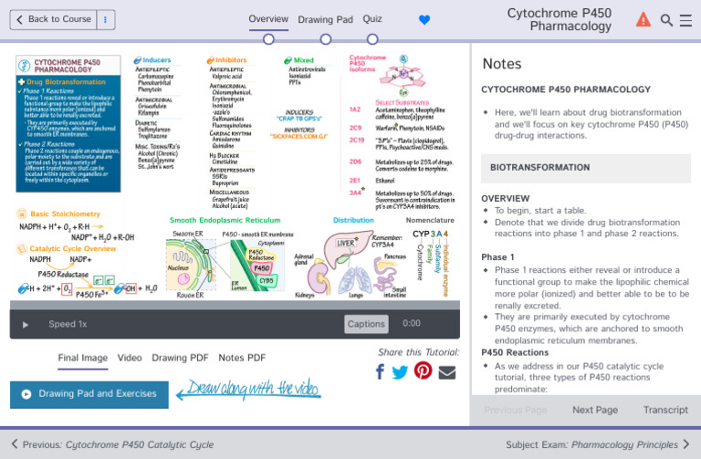 Cytochrome P450 Pharmacology Draw it to Know it | PDF | Drug Metabolism ...