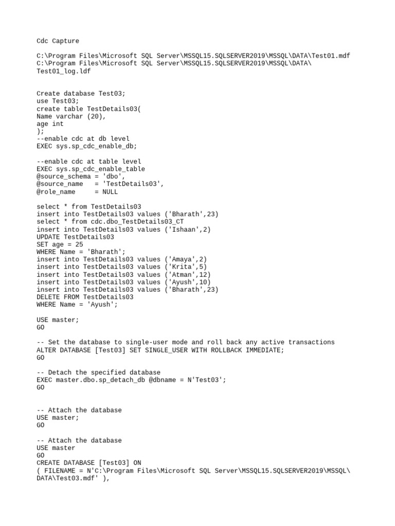 CDC Capture | PDF