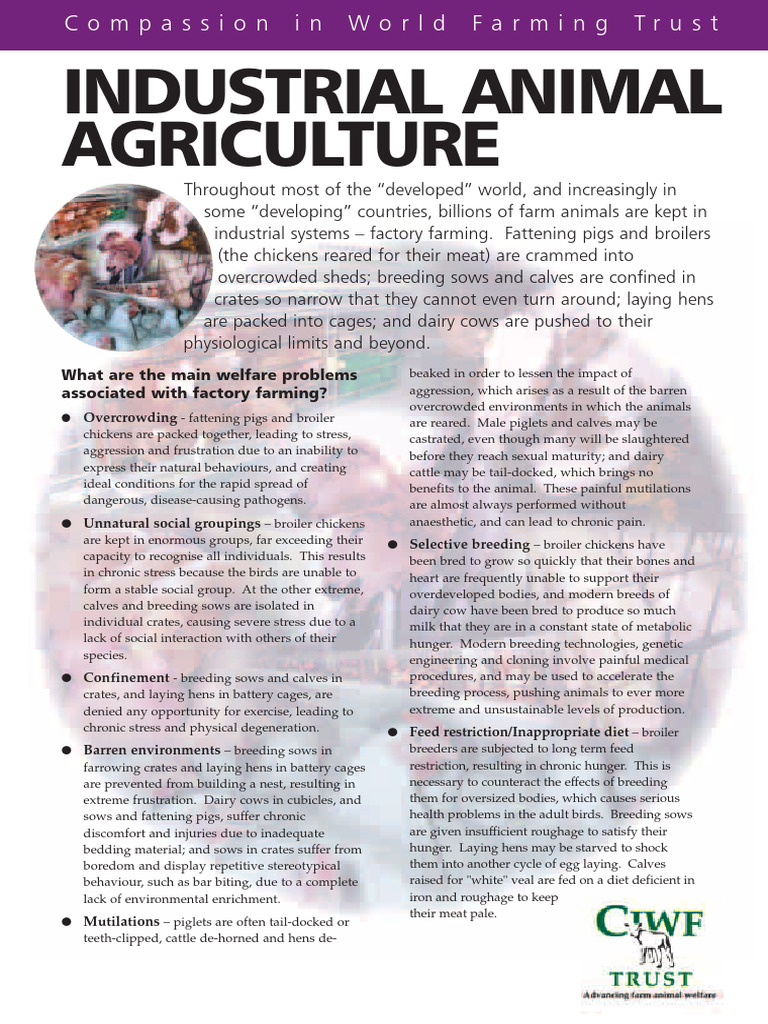 Industrial Animal Farming Booklet | PDF | Poultry Farming | Dairy Cattle