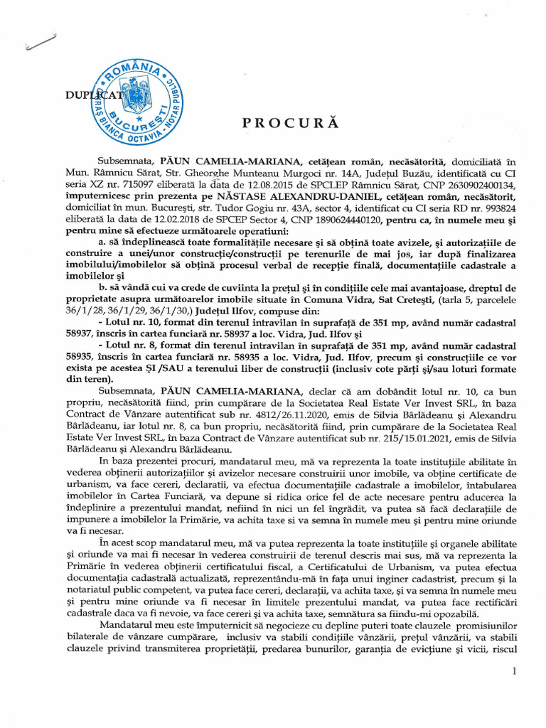 Procura Camelia | PDF