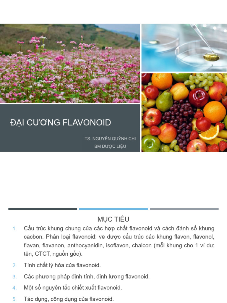 6. (Đọc Thêm) ĐC Và DL Chứa Flavonoid | PDF