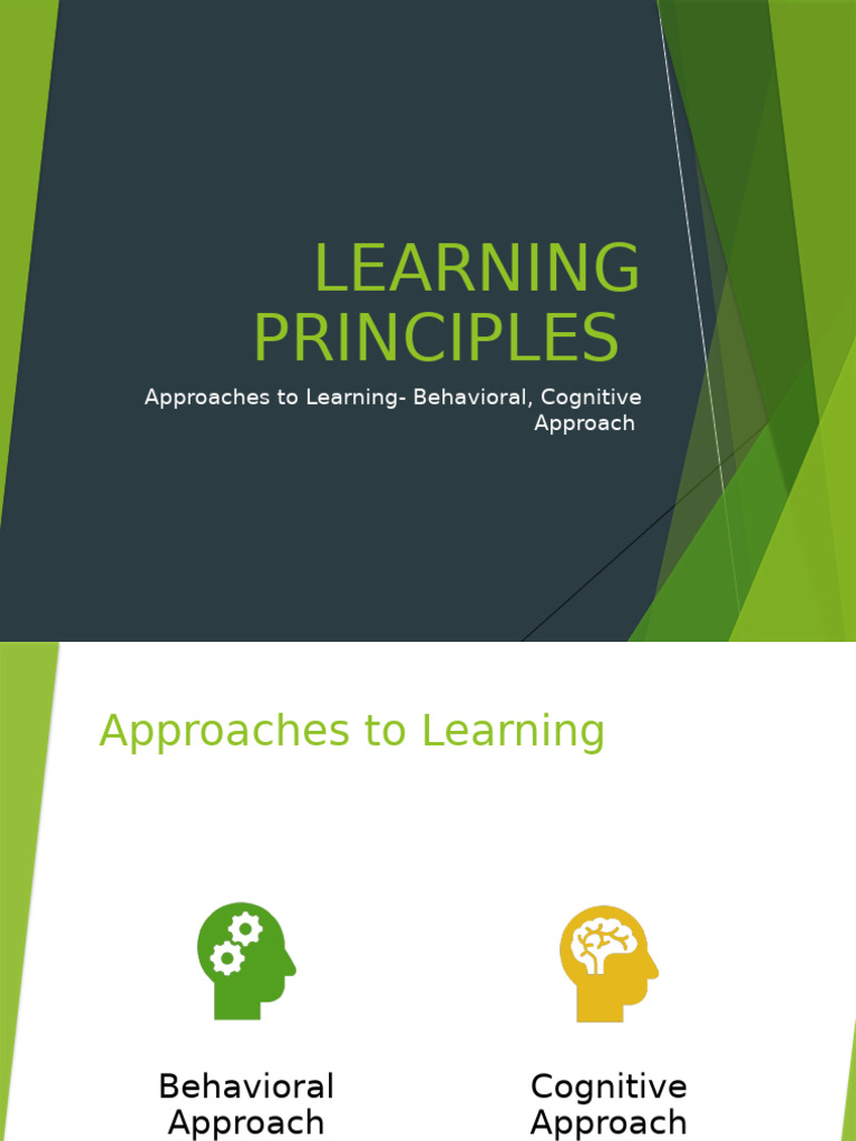 Teaching and Learning Principles | PDF | Constructivism (Philosophy Of ...