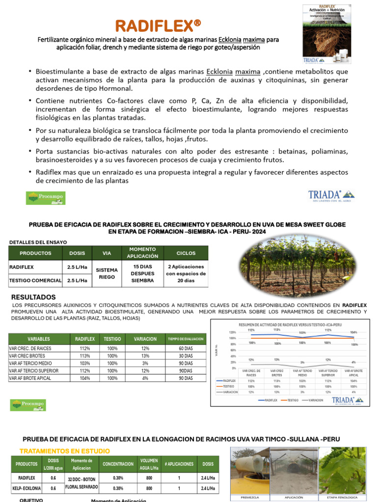 Radiflex - Triada-Procampo-Peru | PDF | Raíz | Ramas de la botánica
