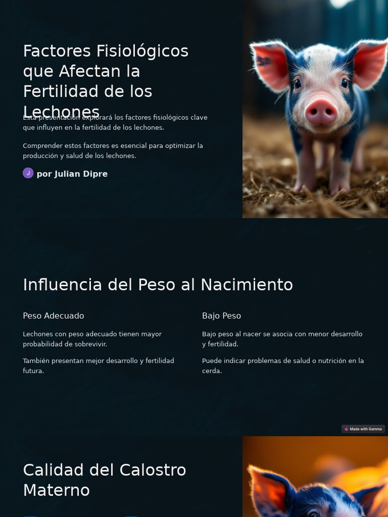 Factores Fisiologicos Que Afectan La Fertilidad de Los Lechones | PDF ...