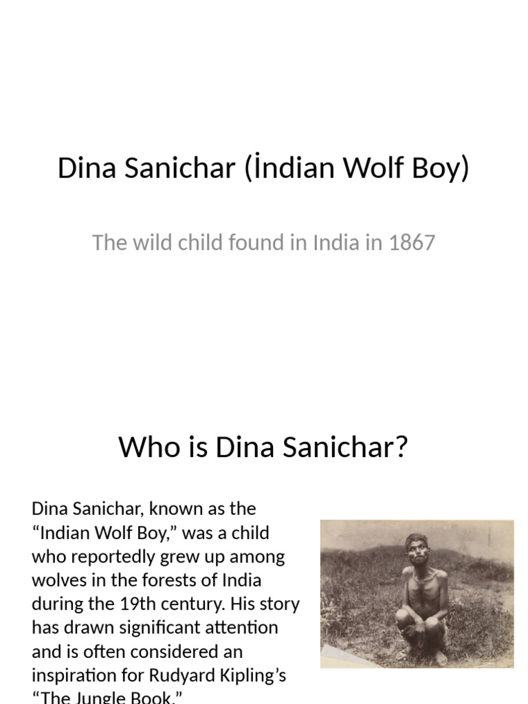 Dina Sanichar Detayli Sunum | PDF | Behavioural Sciences | Psychology