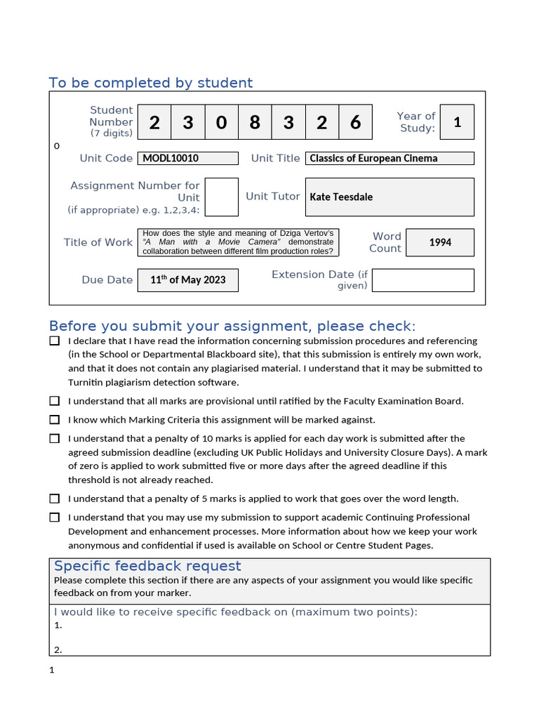 Man With A Movie Camera Essay | PDF