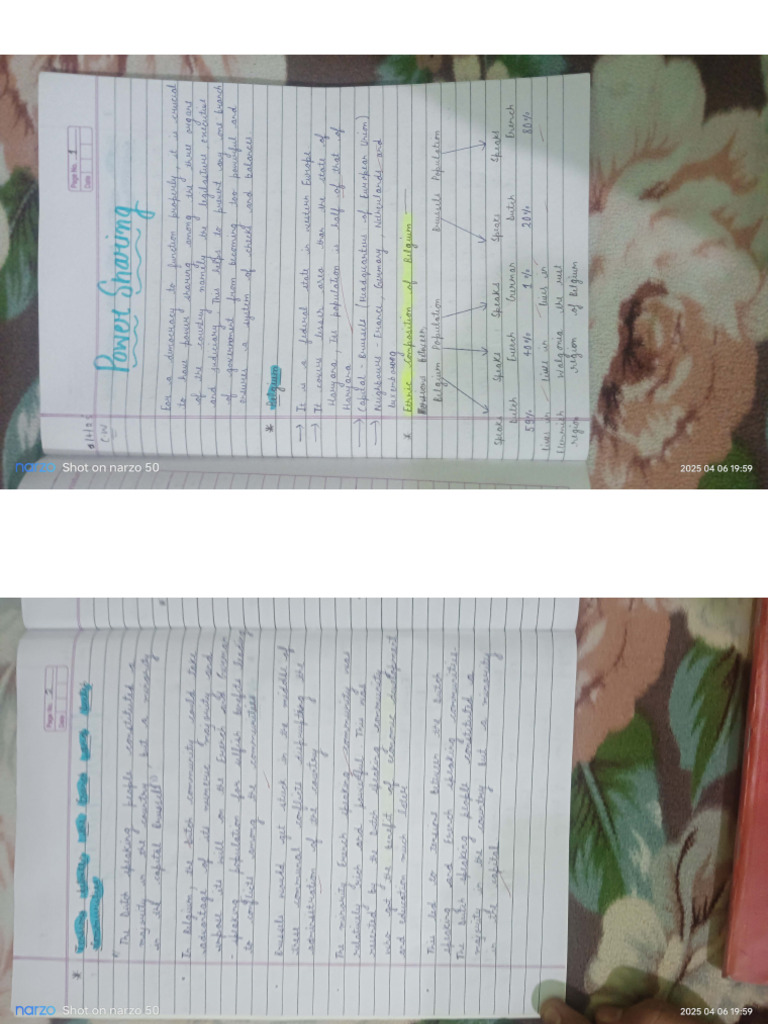 Class 10 Civics Chapter 1 Hand Written Notes | PDF