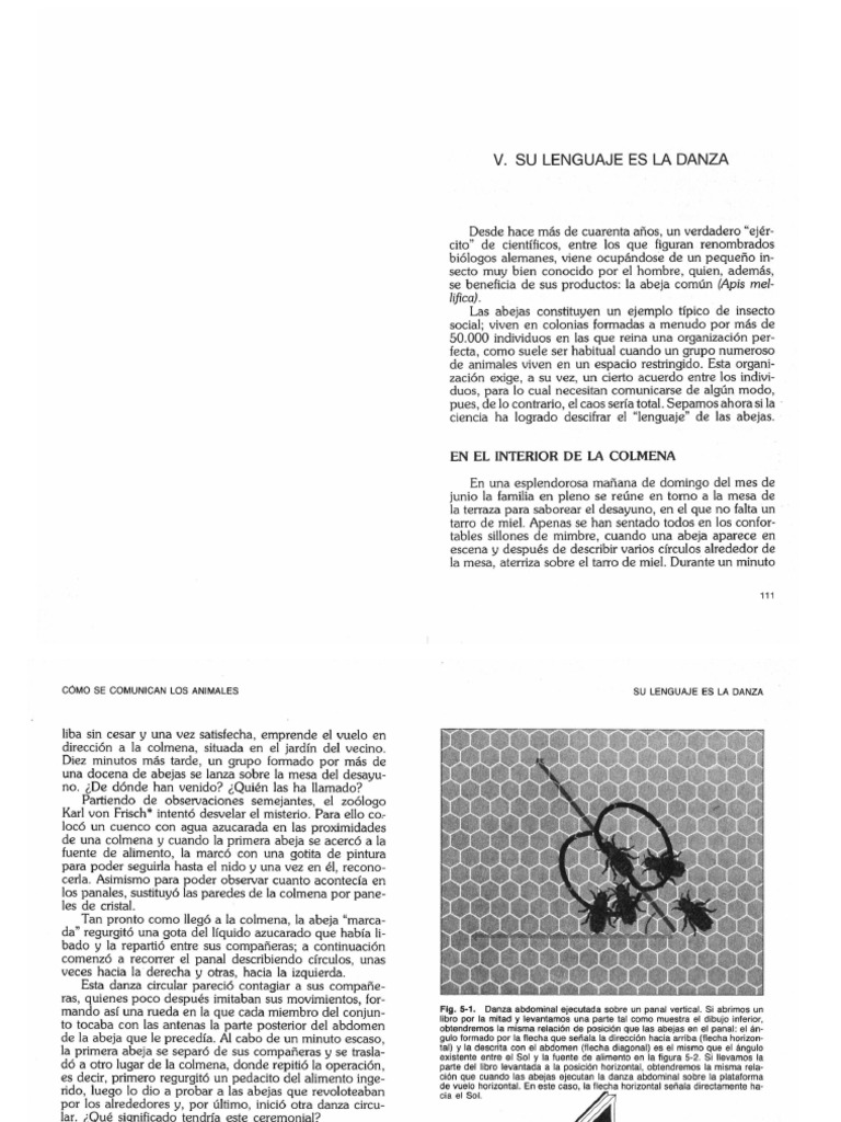 Schimd 1979 Como se comunican los animales | PDF