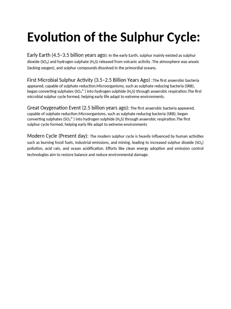 History and Impact of the Sulphur Cycle | PDF | Sulfur | Oceans