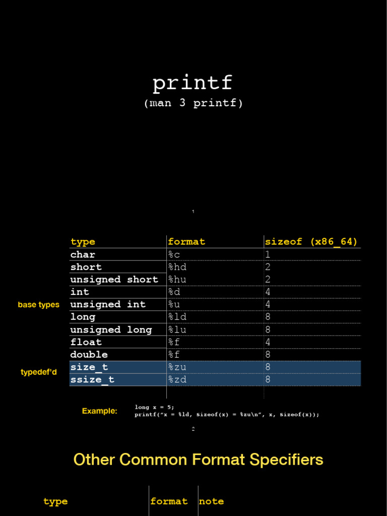 printf Format Specifiers Guide | PDF