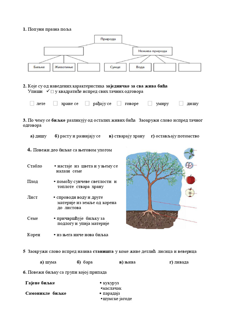 373522619 Svet Oko Nas 1 Kontrolna Vezba | PDF