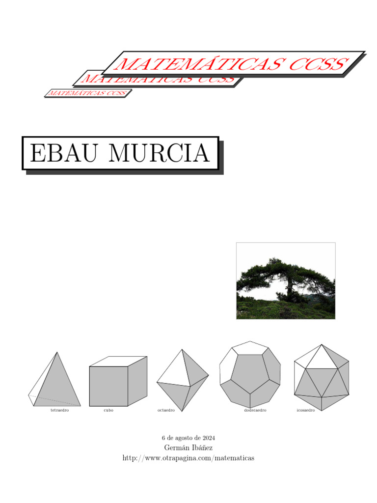EBAU Matemáticas CCSS 2024 Murcia | PDF | Asíntota | Integral