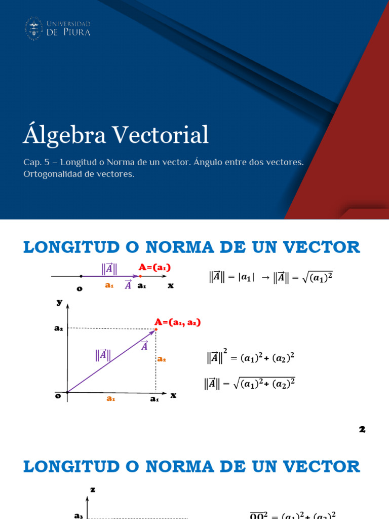 Algebra Vectorial P5 | PDF | Vector Euclidiano | Norma (Matemáticas)