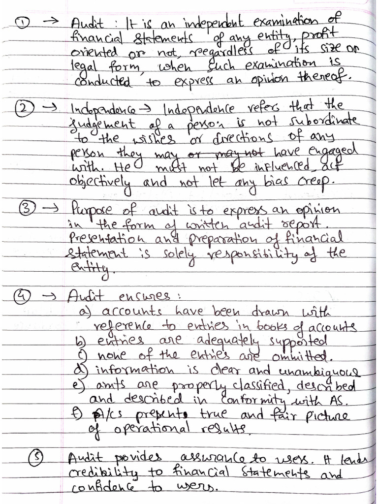 Chapter 1 Audit | PDF