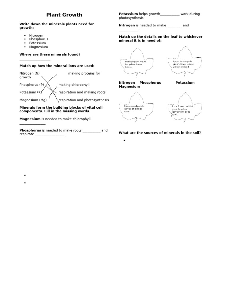 8B3.4 - Minerals and Plant Growth | PDF