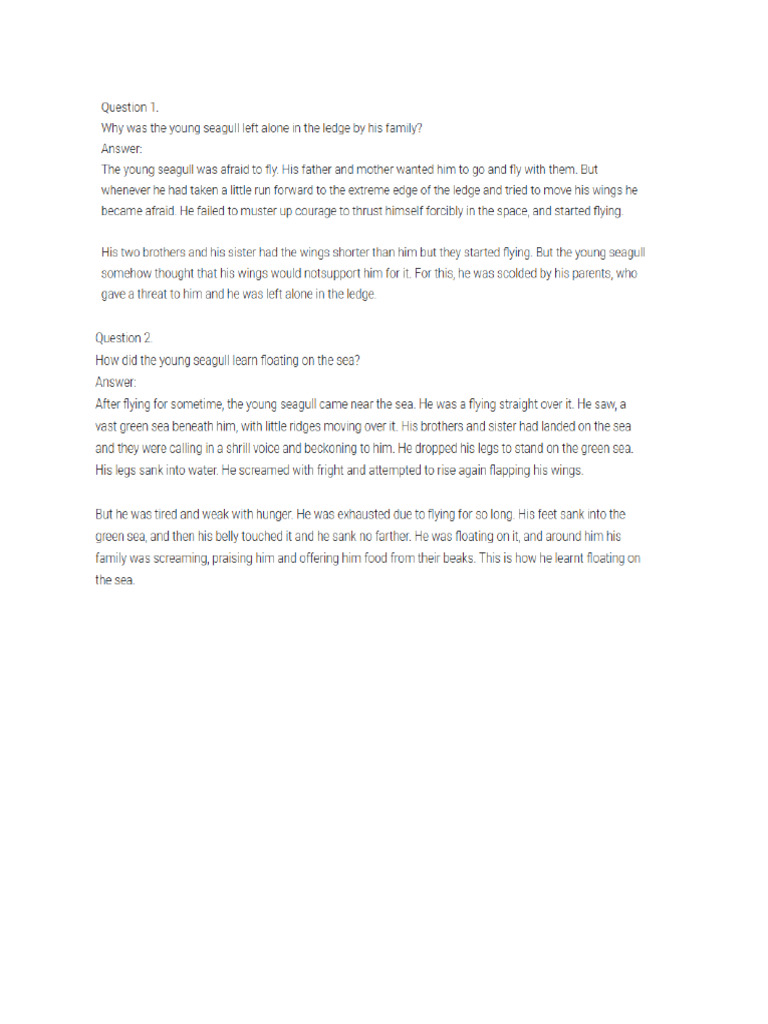 Class 10 His First Flight | PDF