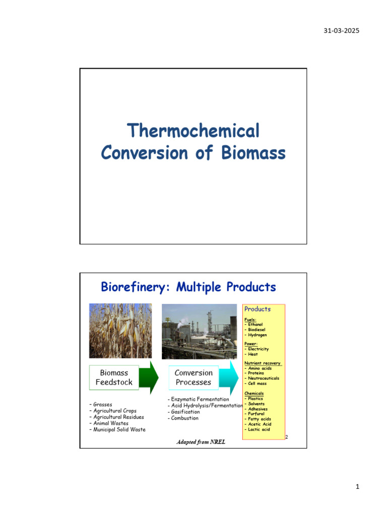 Thermochecmial Conversion of Biomass | PDF | Gasification | Catalysis