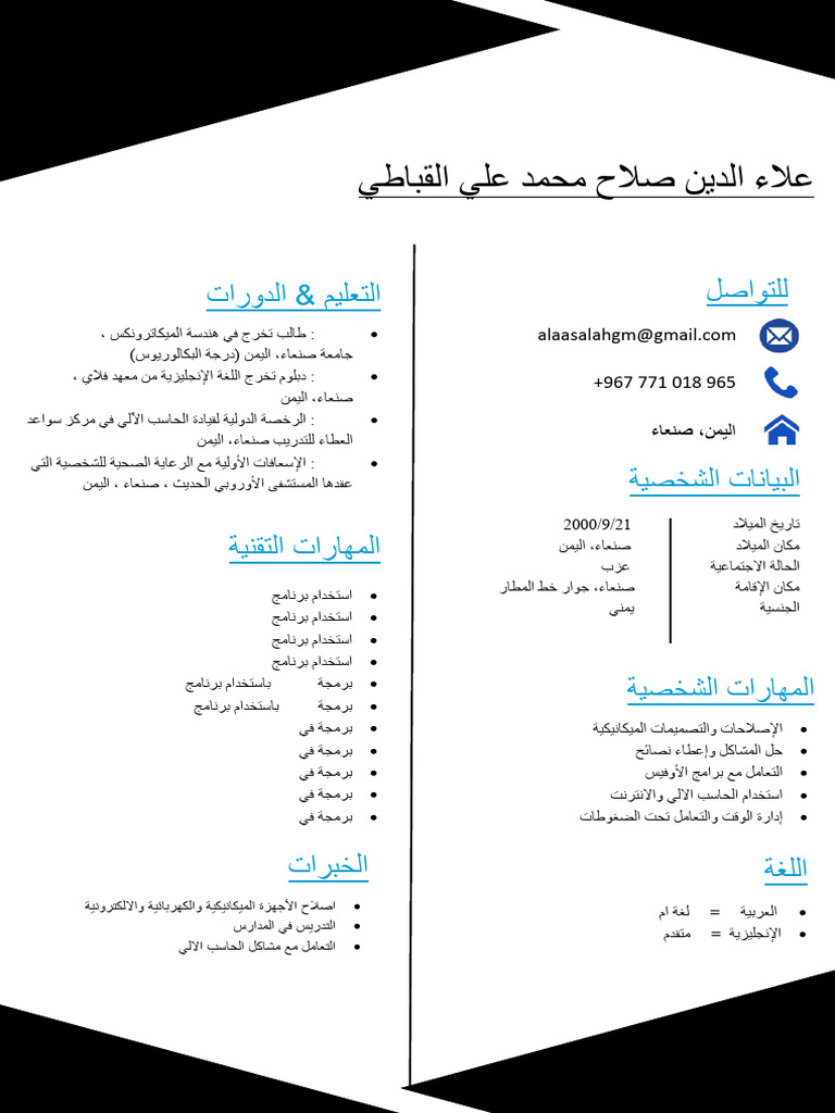 CV Arabic-MSI | PDF