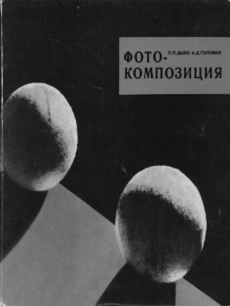 Dyko Lidia - Fotokompozitsia | PDF