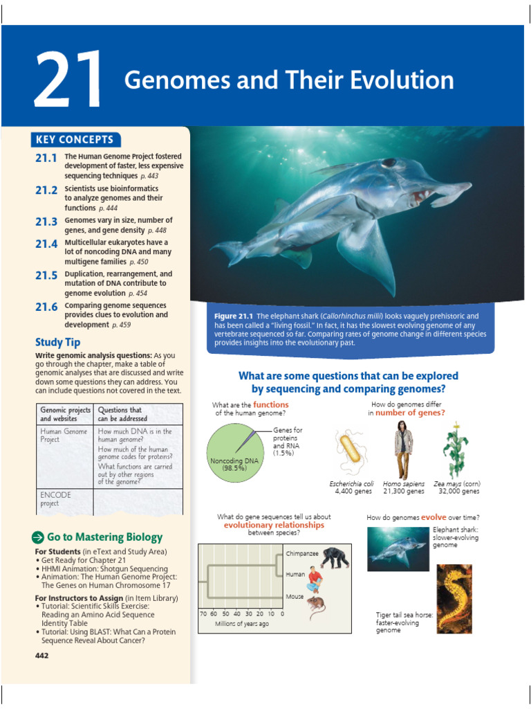 Ch21. Genomes and Their Evolution - Campbell Biology 12th | PDF | Gene ...