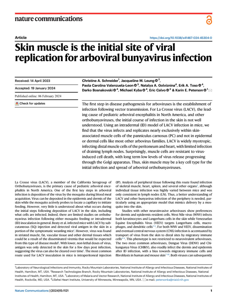 Skin Muscle Is The Initial Site of Viral Replication For Arboviral ...