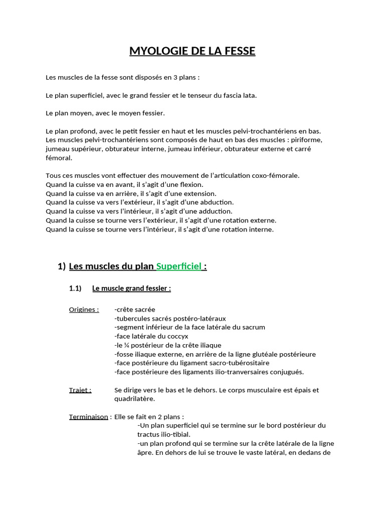 Anatomie des Muscles de la Fesse | PDF | Membres (anatomie) | Anatomie ...