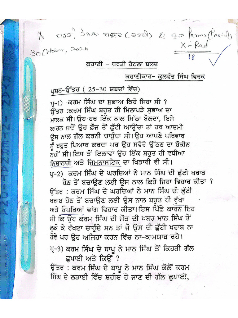 Punjabi Notes? | PDF