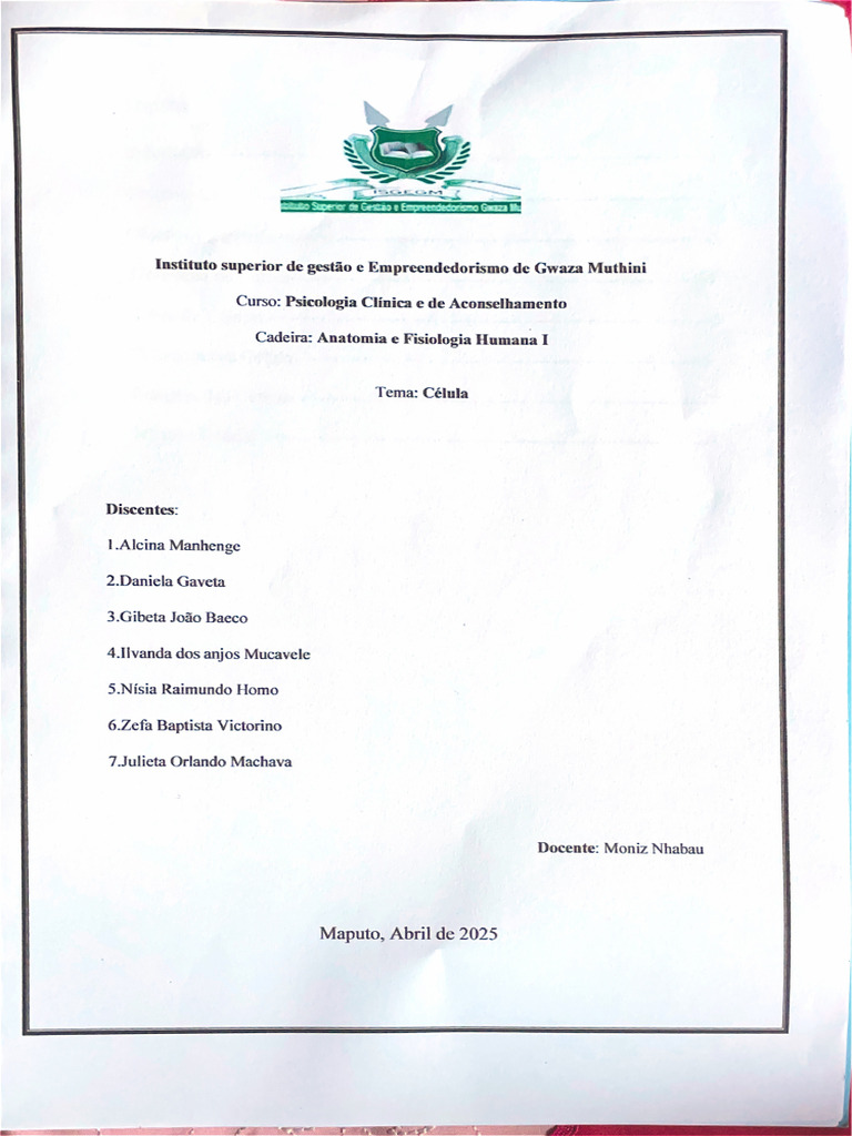 Documento Digitalizado 3 | PDF