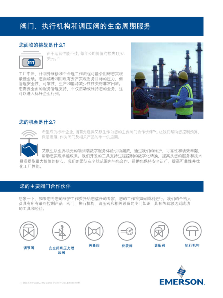 Flyer Lifecycle Services For Valves Actuators Regulators ZH CN 4982276 ...