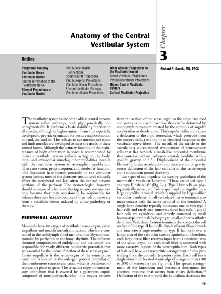 Neurotology Ch3 Anatomy of The Central Vestibular System | PDF | Cerebellum | Vestibular System