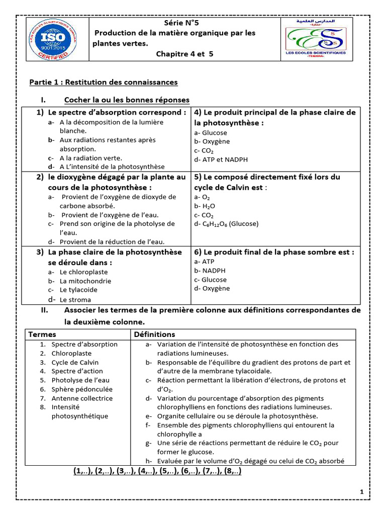 Photosynthèse et rôle des thylakoïdes | PDF | Photosynthèse | Chlorophylle