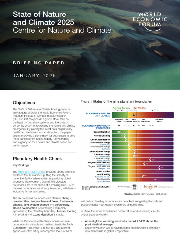 Nature and Climate 2025 Briefing Paper | PDF | Climate Change ...
